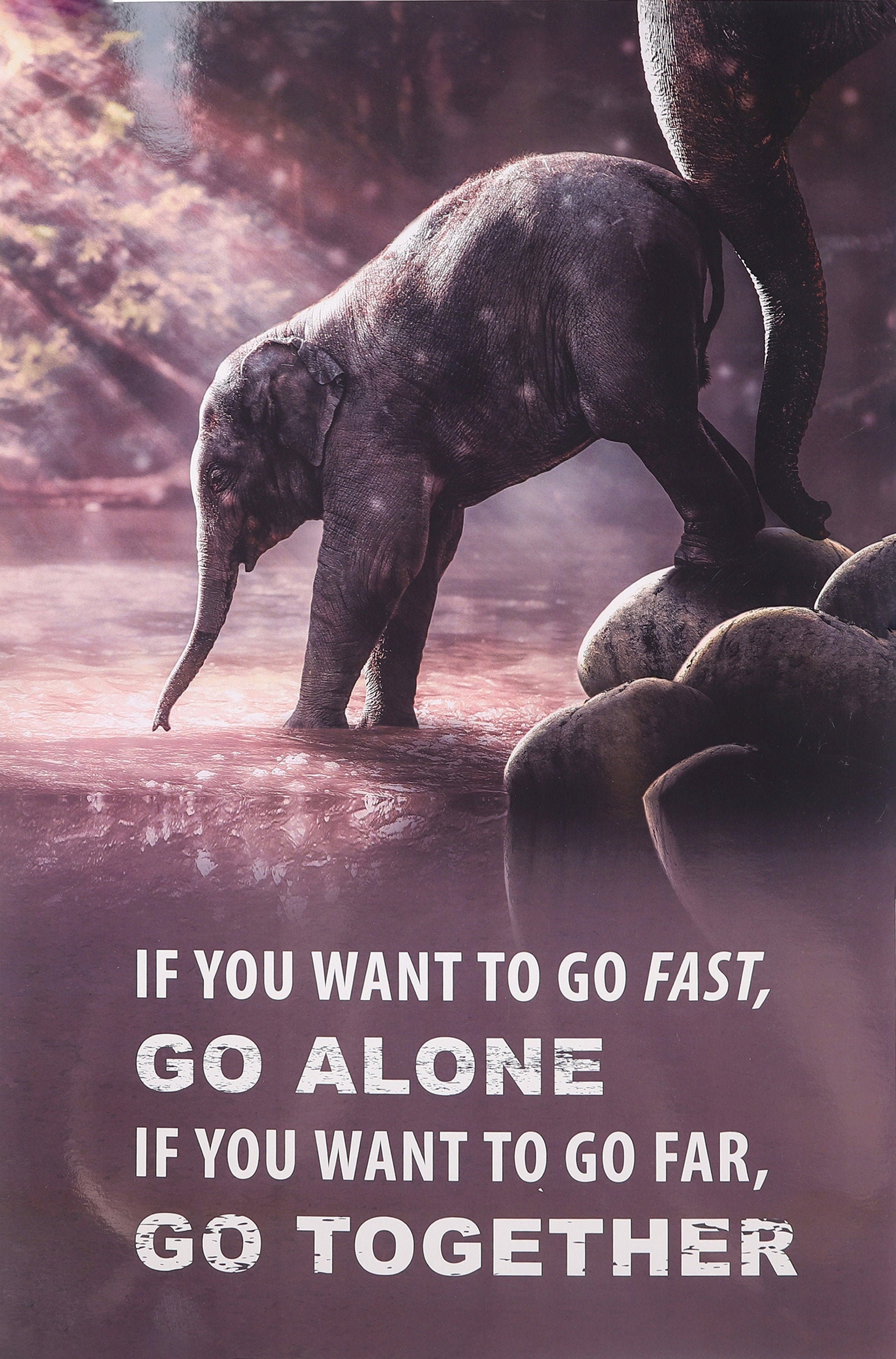 Elephant Teamwork Motivational Poster Print With Positive Inspirational ...
