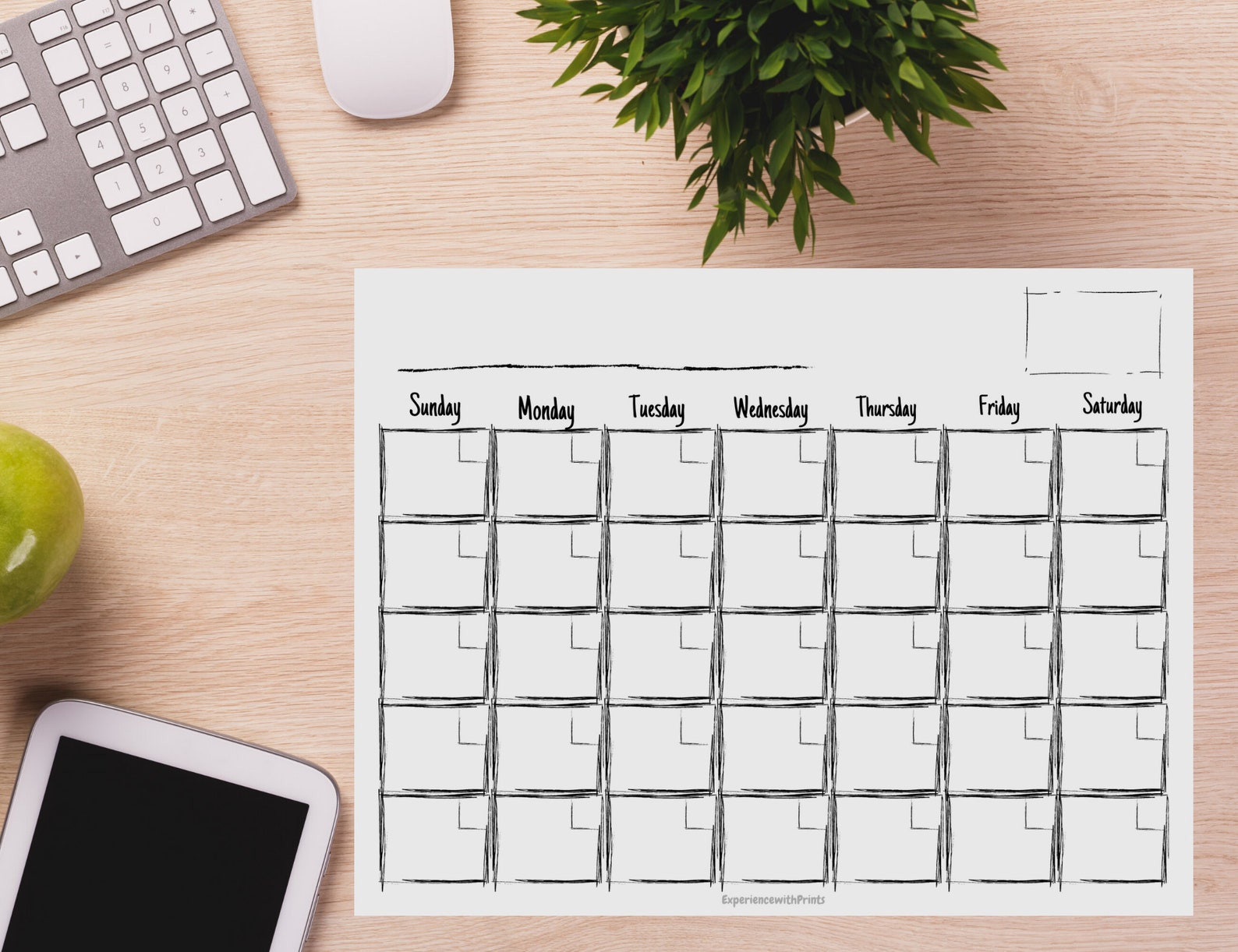 Printable Undated Blank Monthly Calendar FREEBIE Monthly | Etsy