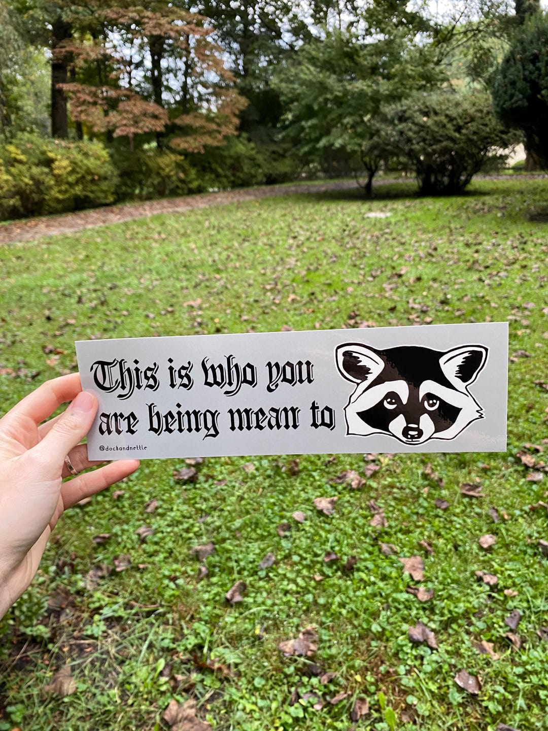 Raccoon Bumper Sticker - Etsy