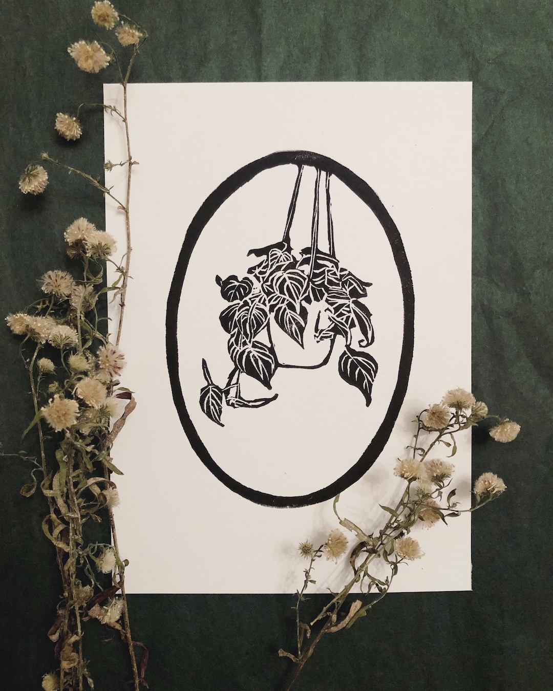 Pothos Portrait - Etsy