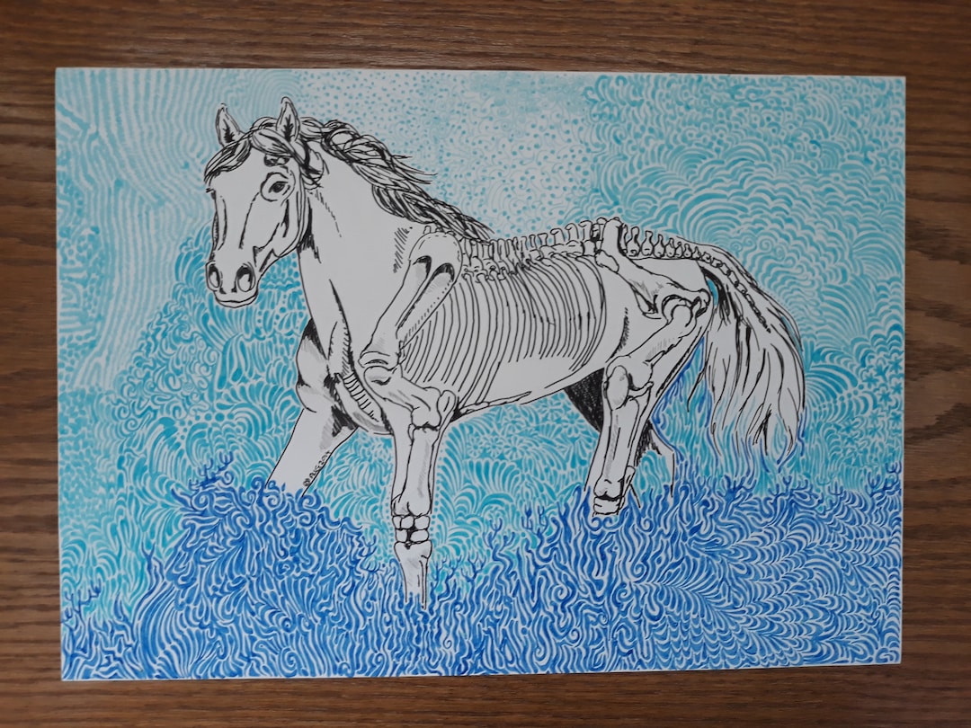 Wild Horse Mustang, Skeleton, Original Art Drawing - Etsy