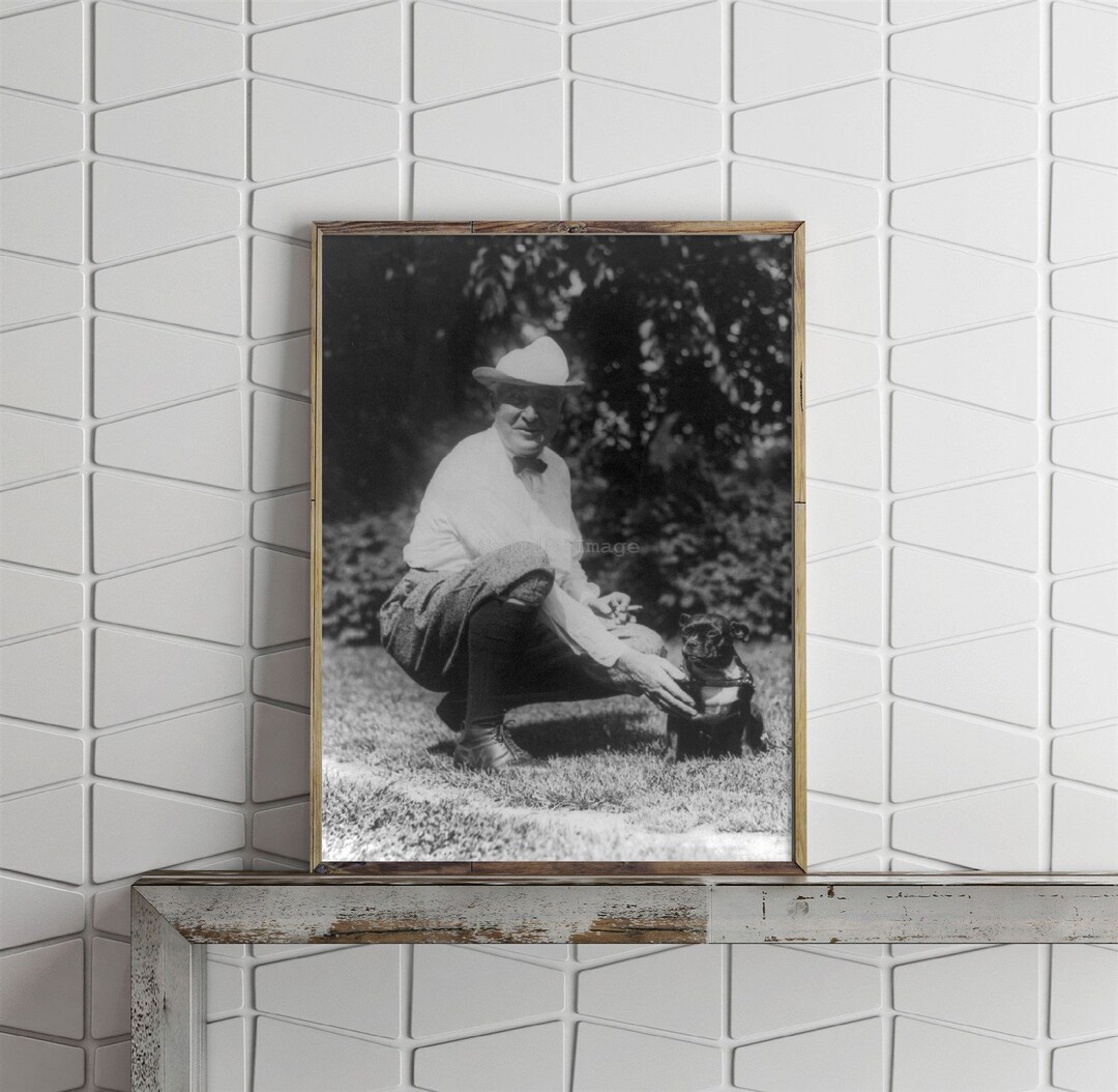 Photograph of Warren Gamaliel Harding Full Length Squatting - Etsy