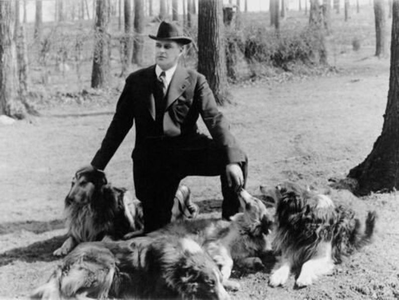 Photo: the Master With Bruce Wolf Lady Lad Albert Payson | Etsy