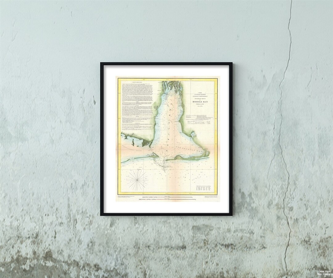 This is an Uncommon 1851 U.S. Coast Survey Chart or Map of - Etsy