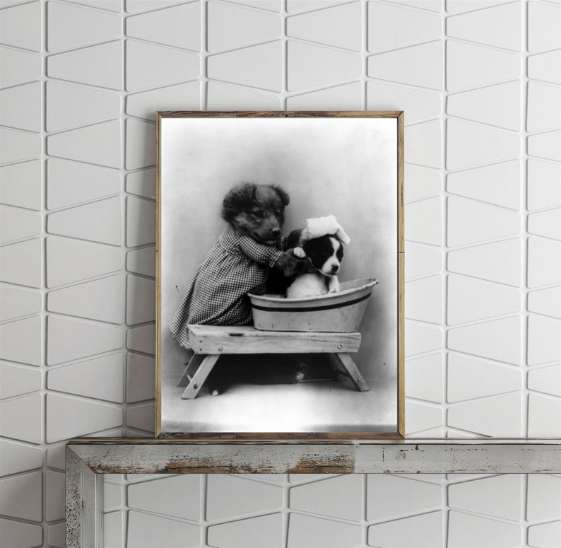 Photo: the Bath Dog Bath in Tub Frees Harry Whittier 1914 | Etsy