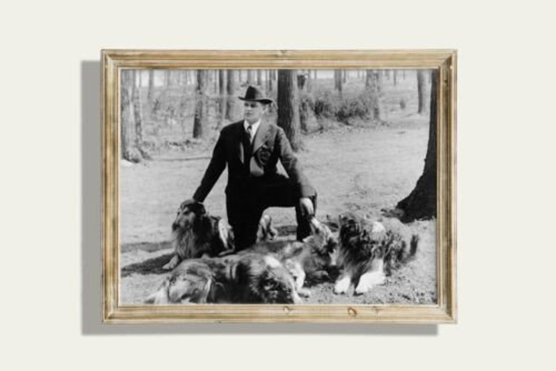 Photo: the Master With Bruce Wolf Lady Lad Albert Payson - Etsy