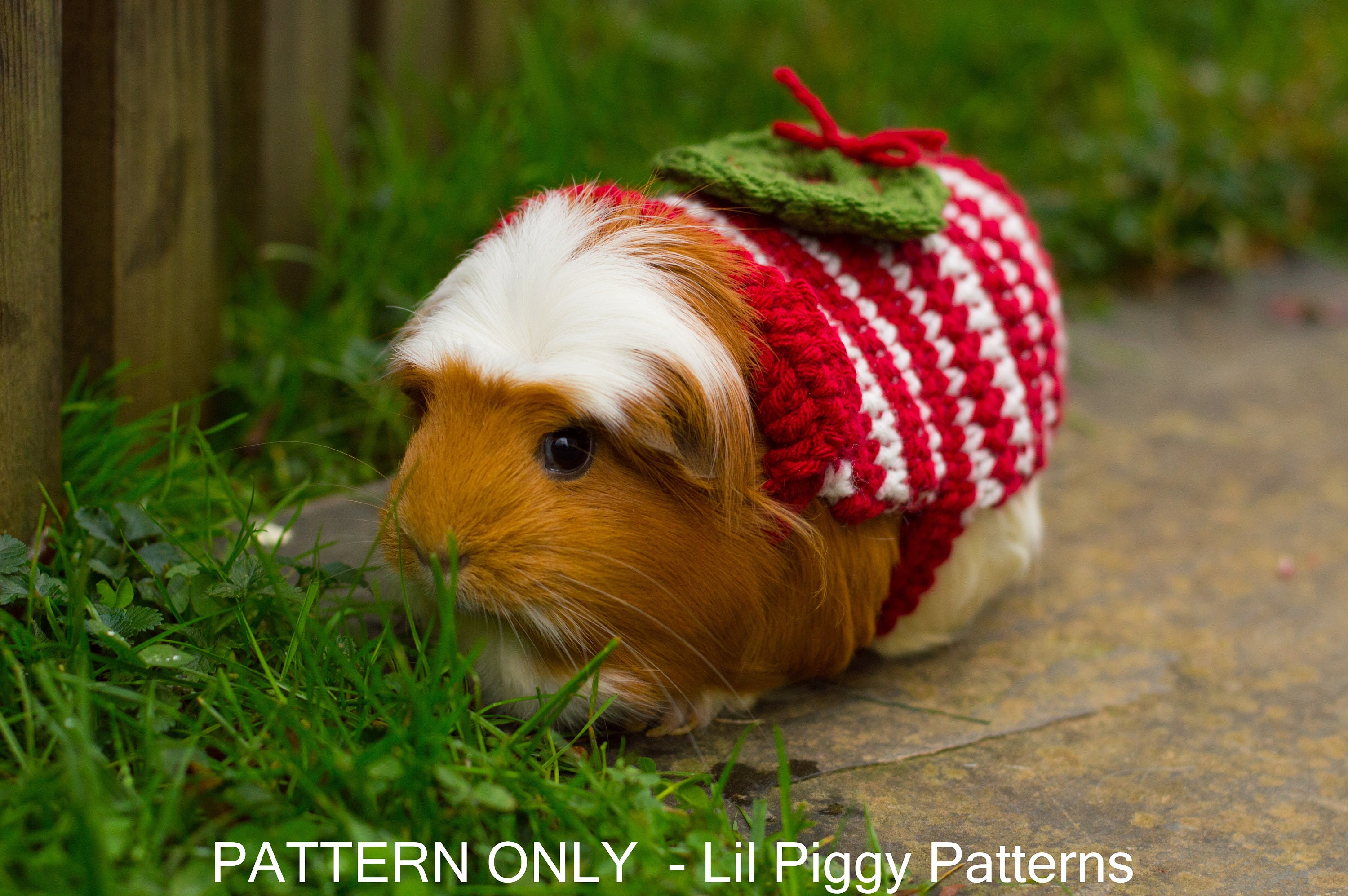 Crochet Pattern Guinea Pig Christmas Sweater With Wreath DIGITAL ...