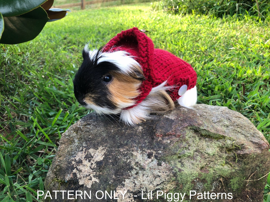 Guinea Pig Pattern Knitted Hoodie PDF Digital Download - Etsy