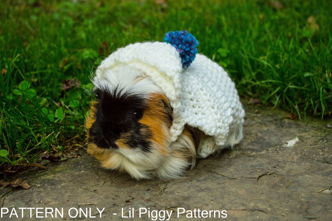 Guinea Pig Pattern Hoodie Sweater Crochet DIGITAL DOWNLOAD PDF - Etsy