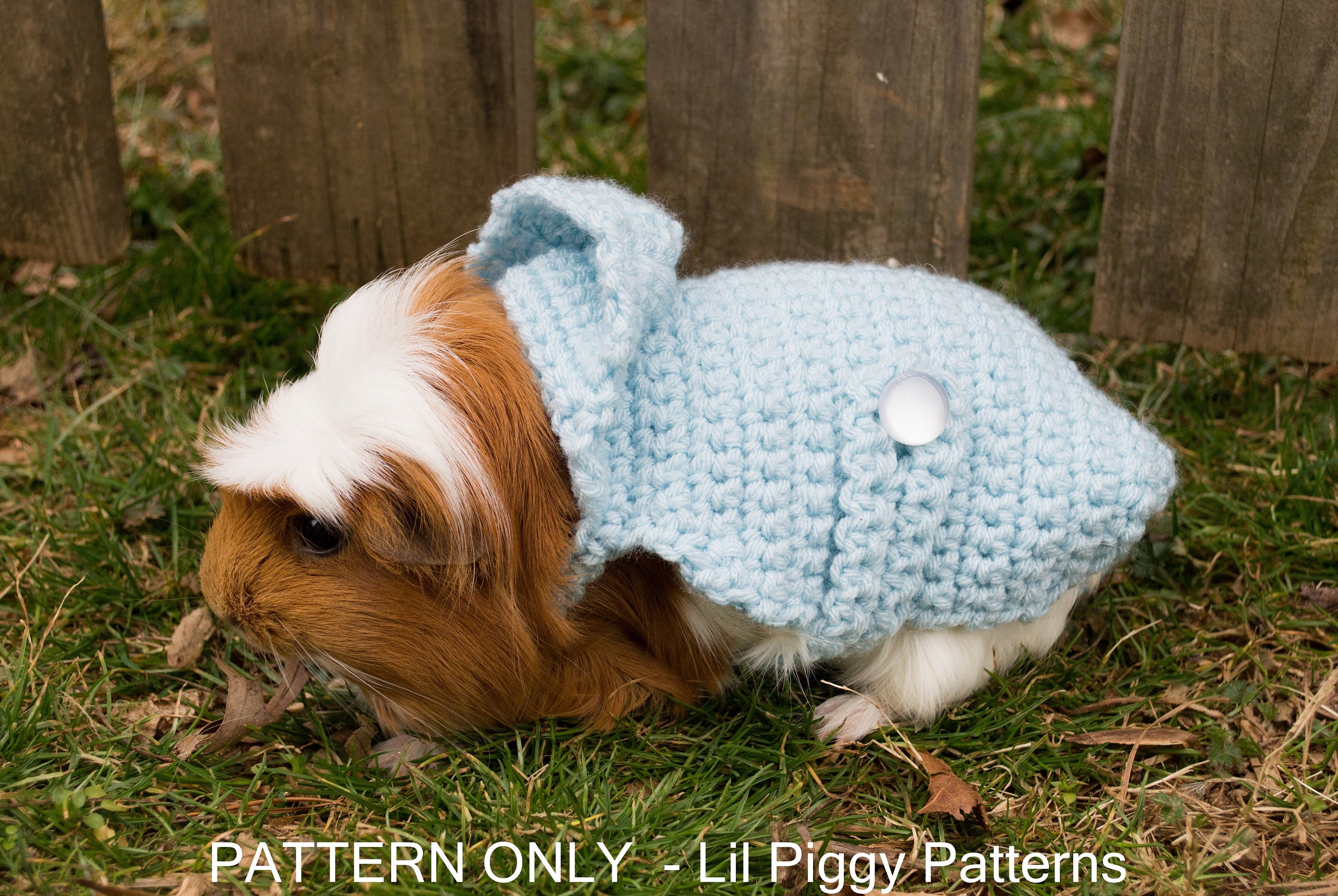 DIGITAL DOWNLOAD PDF Guinea Pig Crochet Pattern Decorative - Etsy