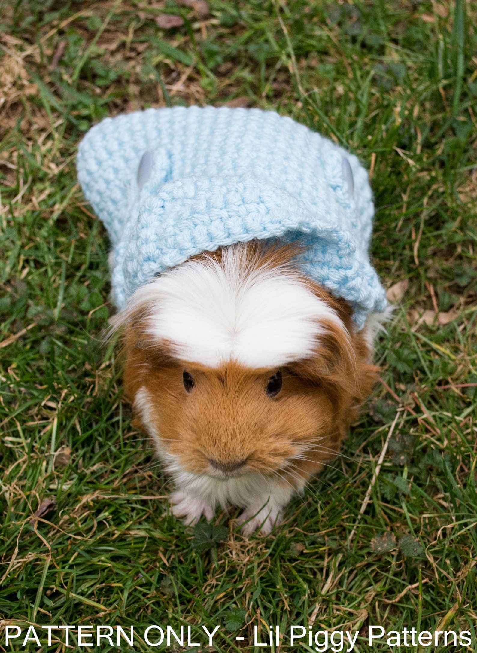 DIGITAL DOWNLOAD PDF Guinea Pig Crochet Pattern Decorative - Etsy