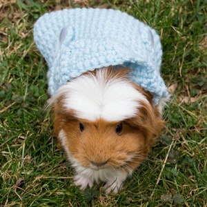 DIGITAL DOWNLOAD PDF Guinea Pig Crochet Pattern Decorative Diaper Style ...