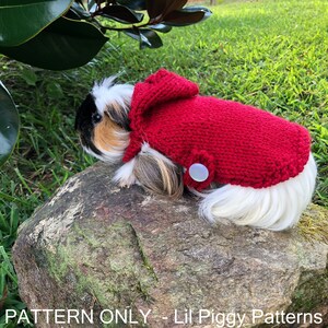 Guinea Pig Pattern Knitted Hoodie PDF Digital Download - Etsy