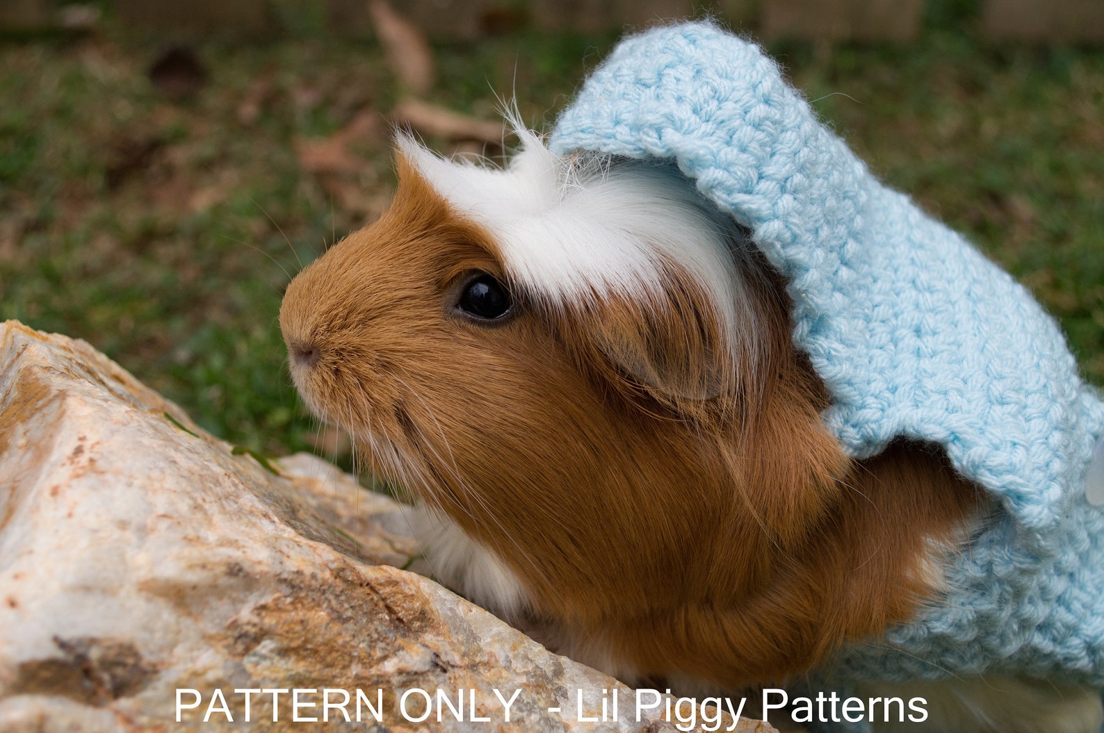 DIGITAL DOWNLOAD PDF Guinea Pig Crochet Pattern Decorative - Etsy