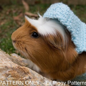DIGITAL DOWNLOAD PDF Guinea Pig Crochet Pattern Decorative Diaper Style ...