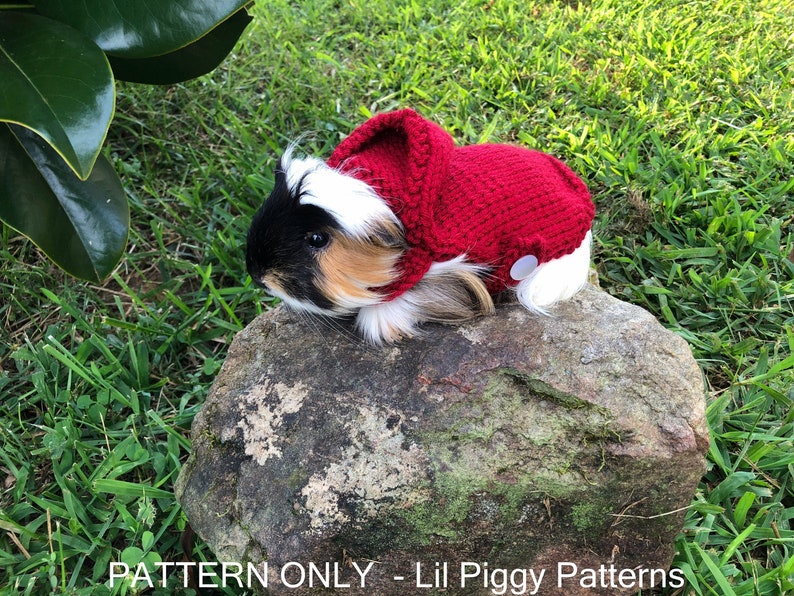 Guinea Pig Pattern Knitted Hoodie PDF Digital Download - Etsy