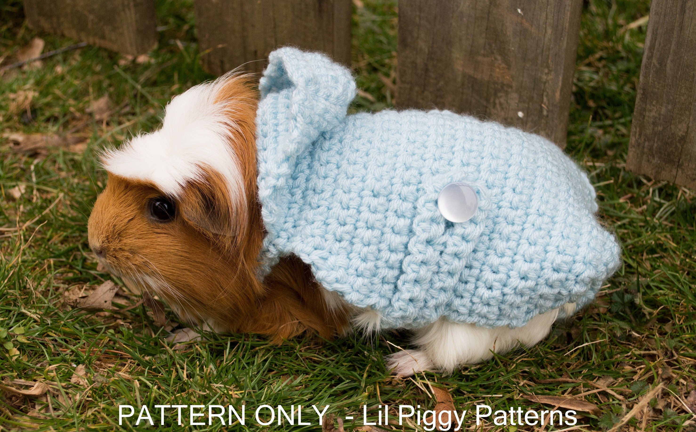 DIGITAL DOWNLOAD PDF Guinea Pig Crochet Pattern Decorative - Etsy