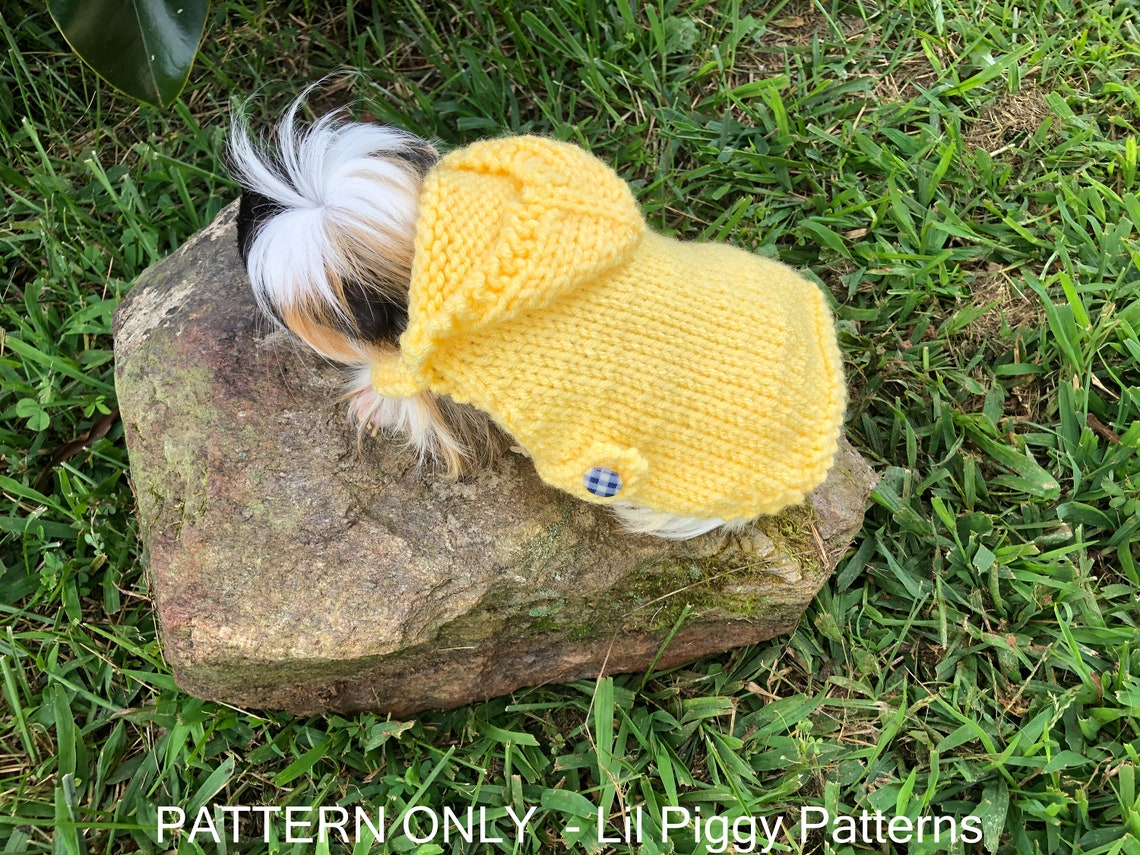 Guinea Pig Pattern Knitted Hoodie PDF Digital Download - Etsy