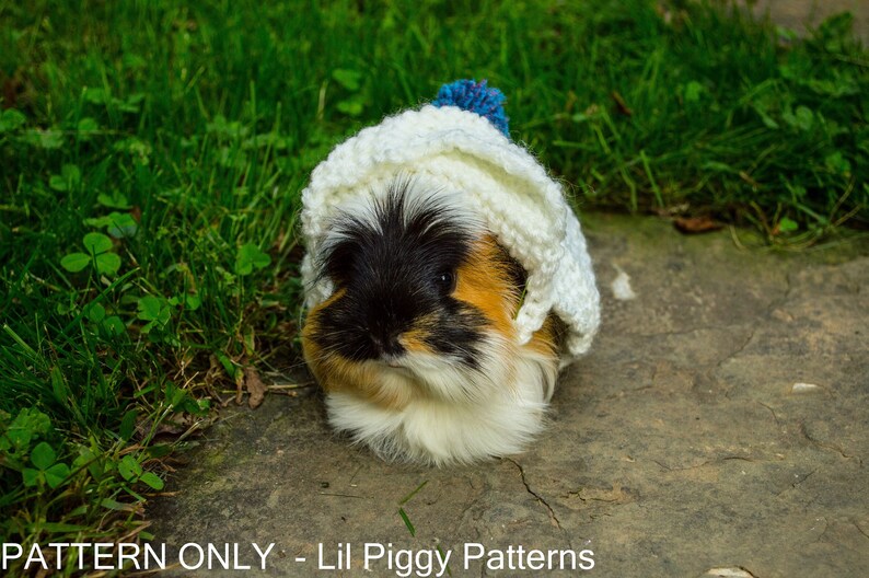 Guinea Pig Pattern Hoodie Sweater Crochet DIGITAL DOWNLOAD PDF Small ...