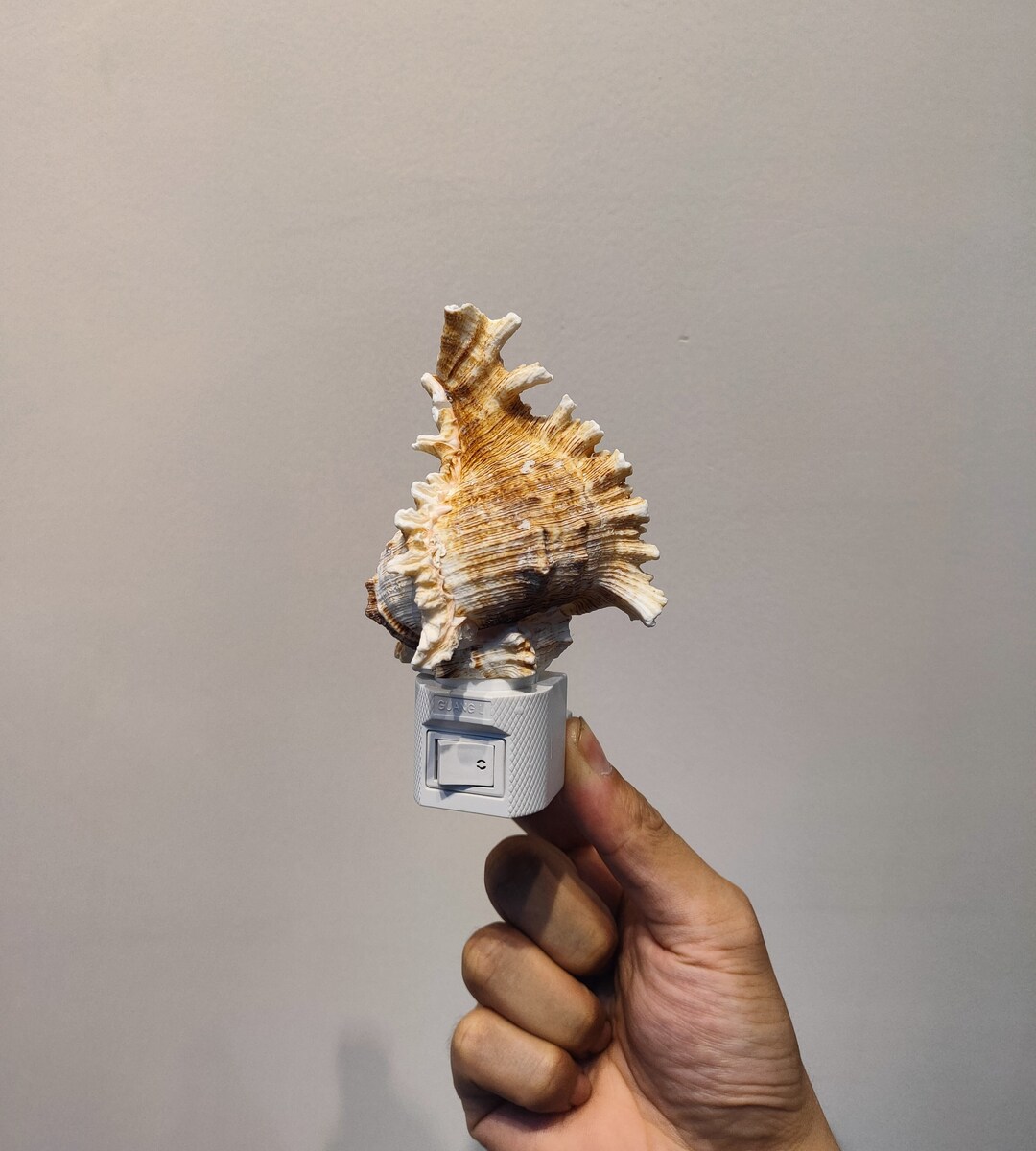 Sea Shell Night Light,beach Lamp, Snail Sea SHELL Lover Gift,cute Night ...