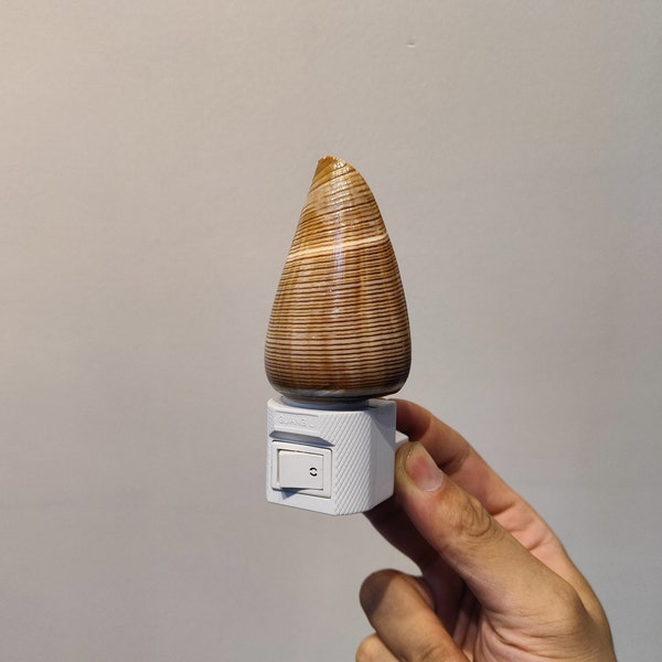 Conch Shell Lamp - Etsy