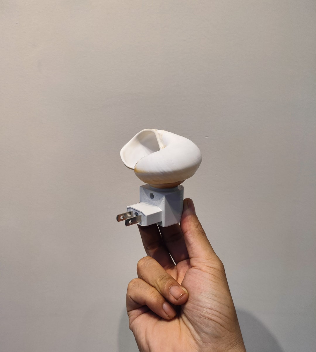 Sea Shell Night Light,beach Lamp, Snail Sea SHELL Lover Gift,cute Night ...