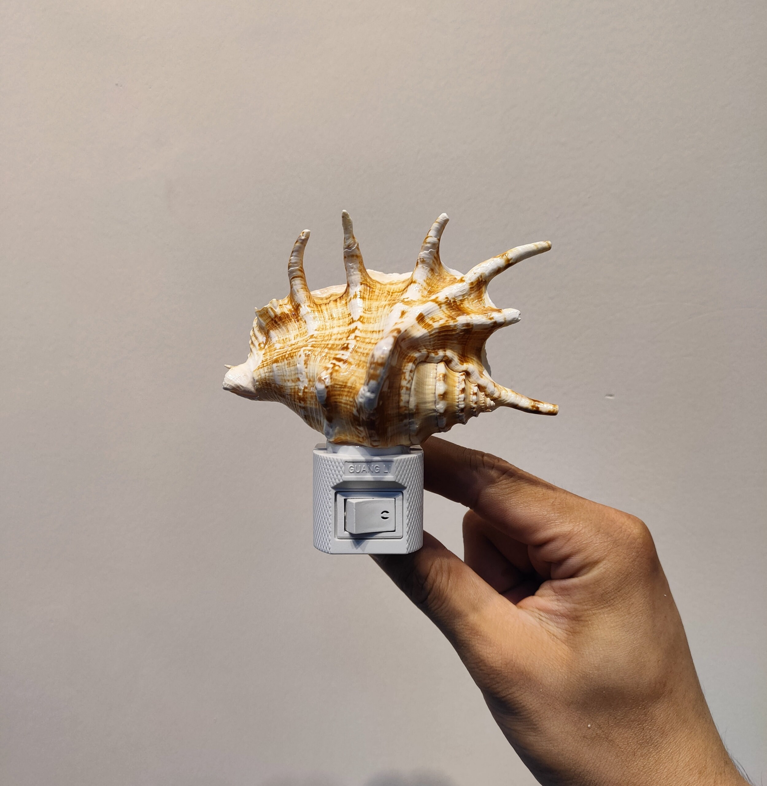 SHELL Snail Sea Nautical Beach Decor Night Light,shell Decor,nature ...