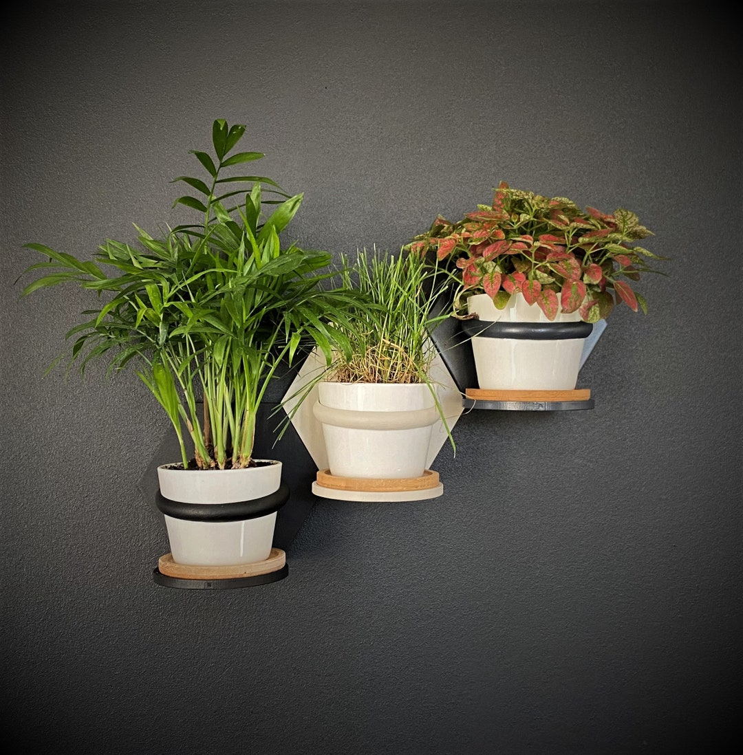 Hexagon Wall Planter Set – Removable Plant Holders With Ceramic Pots ...