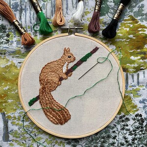 Skye the Red Squirrel - HAND EMBROIDERY KIT - Scottish Creatures ...