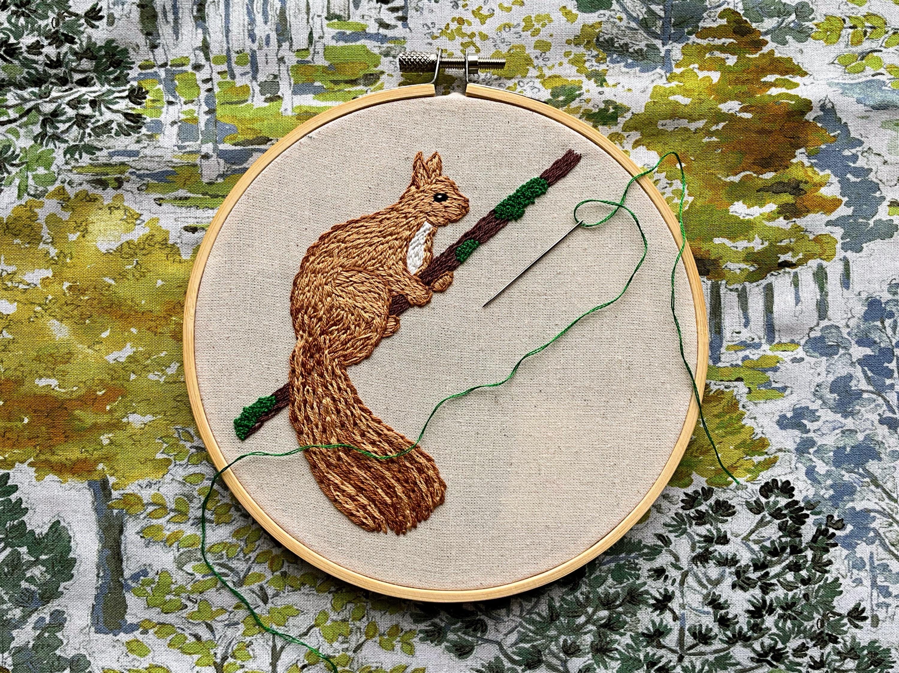 Skye the Red Squirrel - HAND EMBROIDERY KIT - Scottish Creatures ...