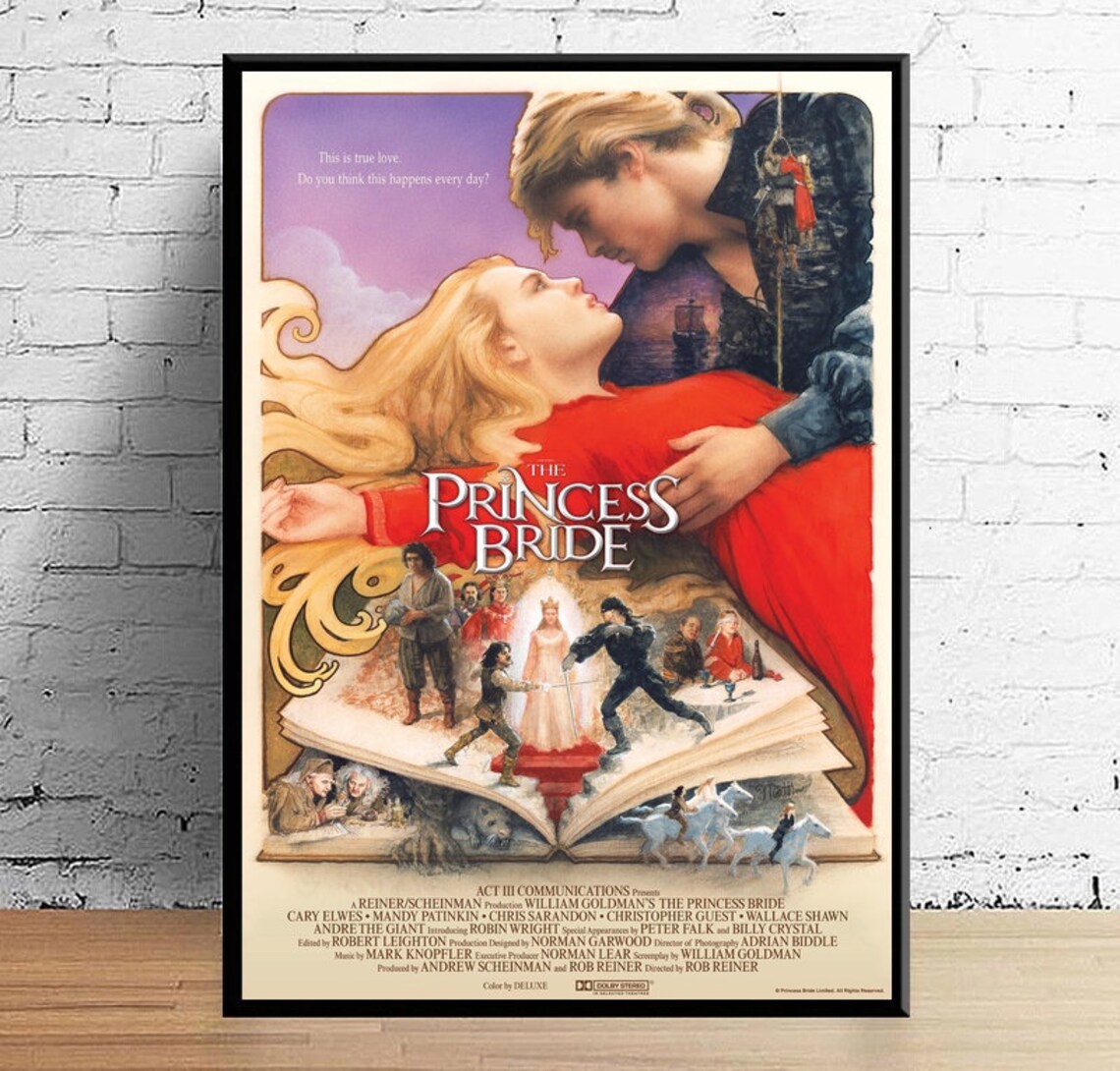 The Princess Bride Movie Poster Art Canvas for Living Room | Etsy