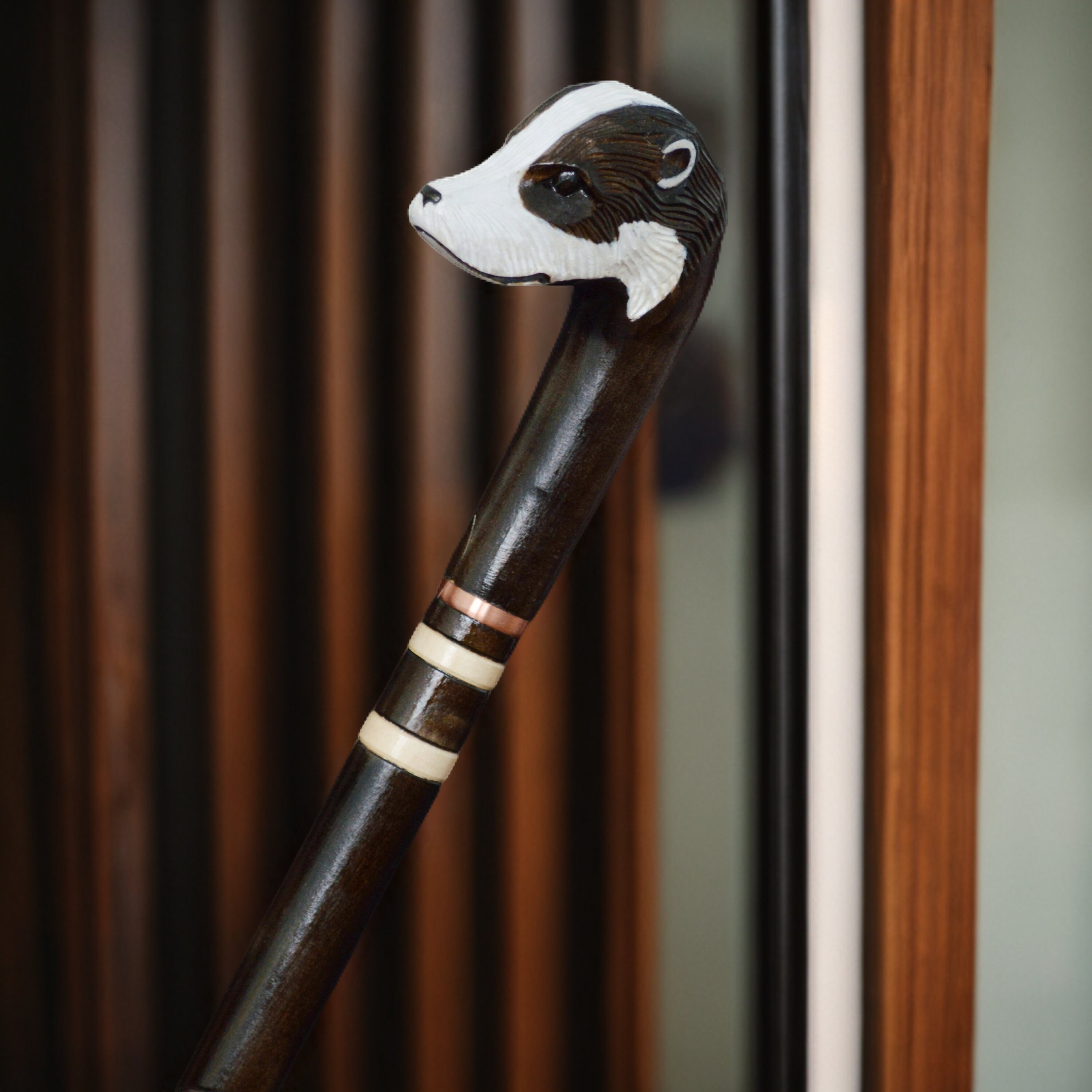 Hand Carved Wooden Cane, Walking Stick for Man and Woman. Unique Design ...