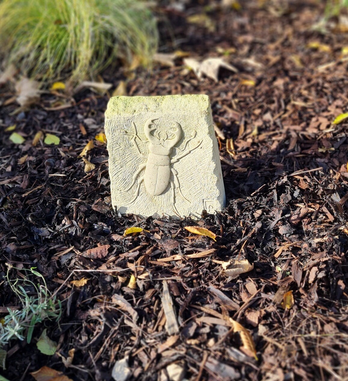 Stag Beetle Sculpture / FREE POST / Limestone Sculpture / Hand Carved ...