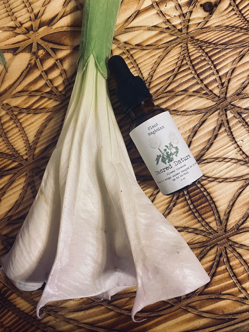 Datura Spirit - Etsy UK