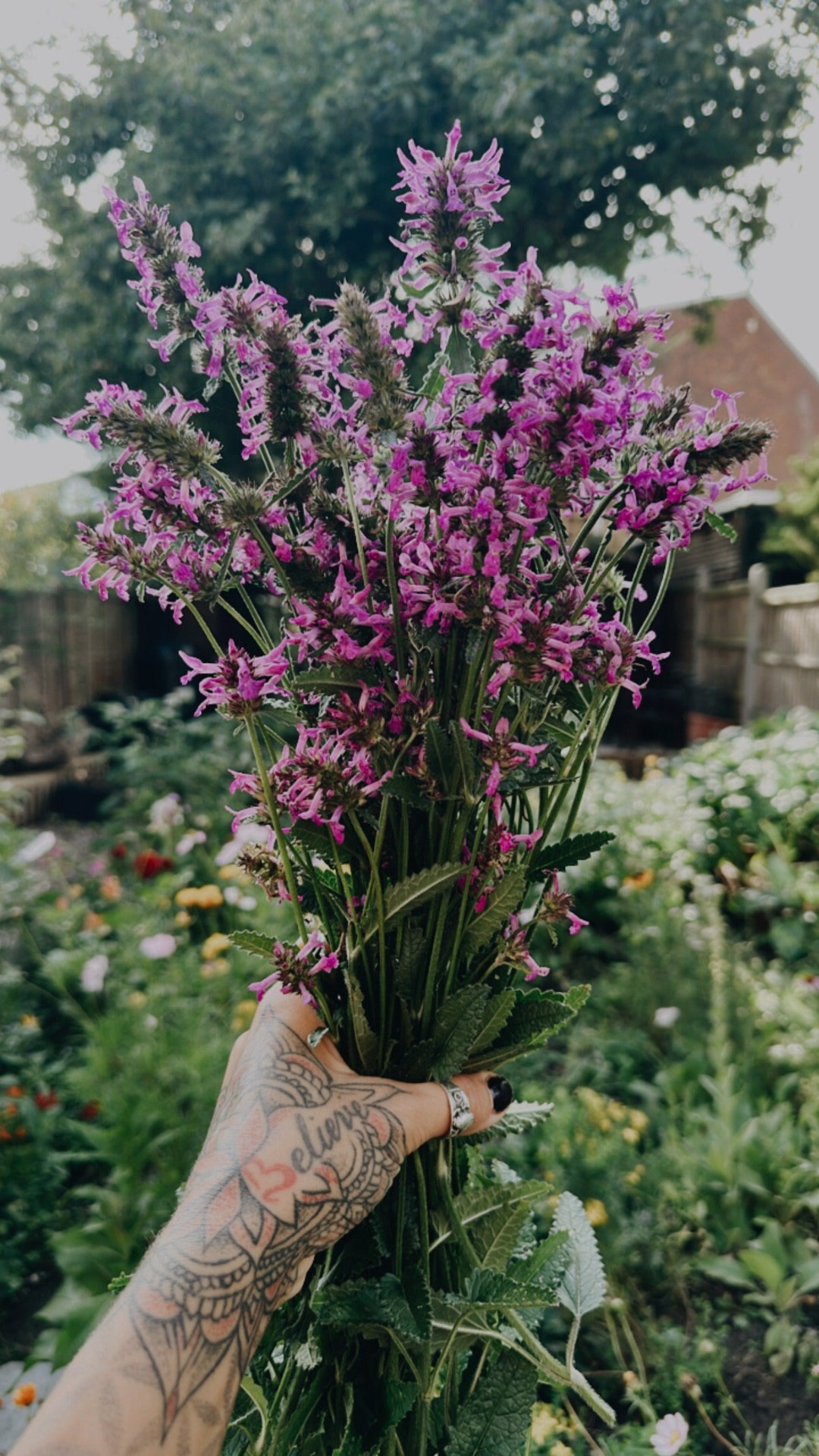 Betony Spirit Solar Plexus Strengthening Grounding Protection - Etsy