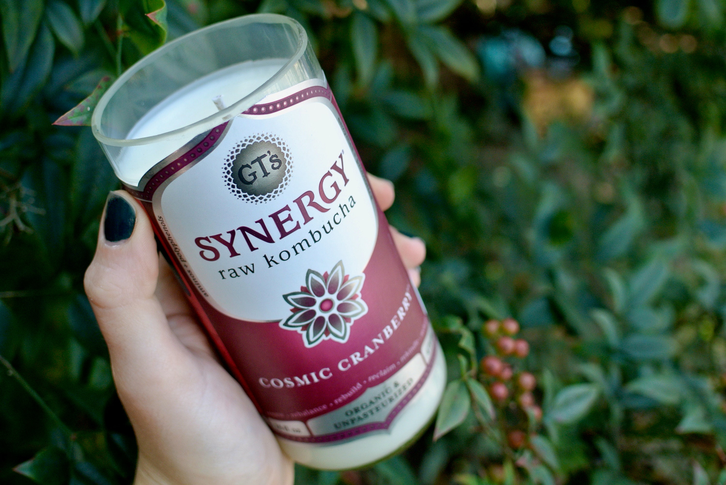 Synergy Drink Logo