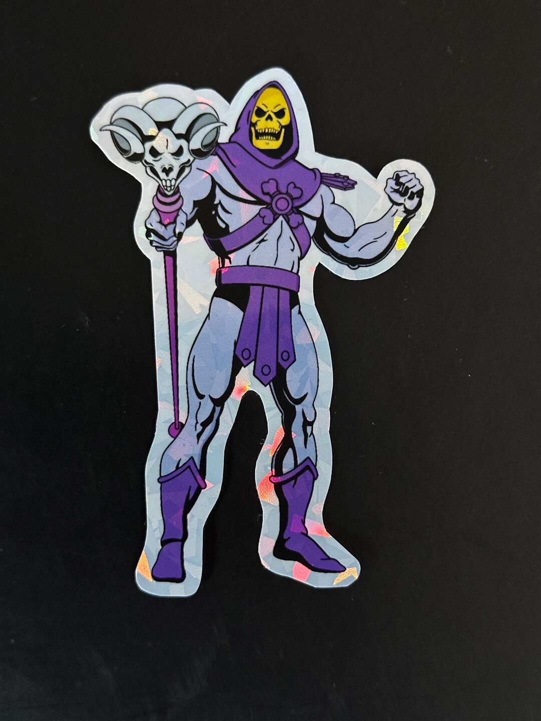 MOTU Skeletor Retro Flake Style Holographic Sticker Laptop, Pc, Vehicle ...