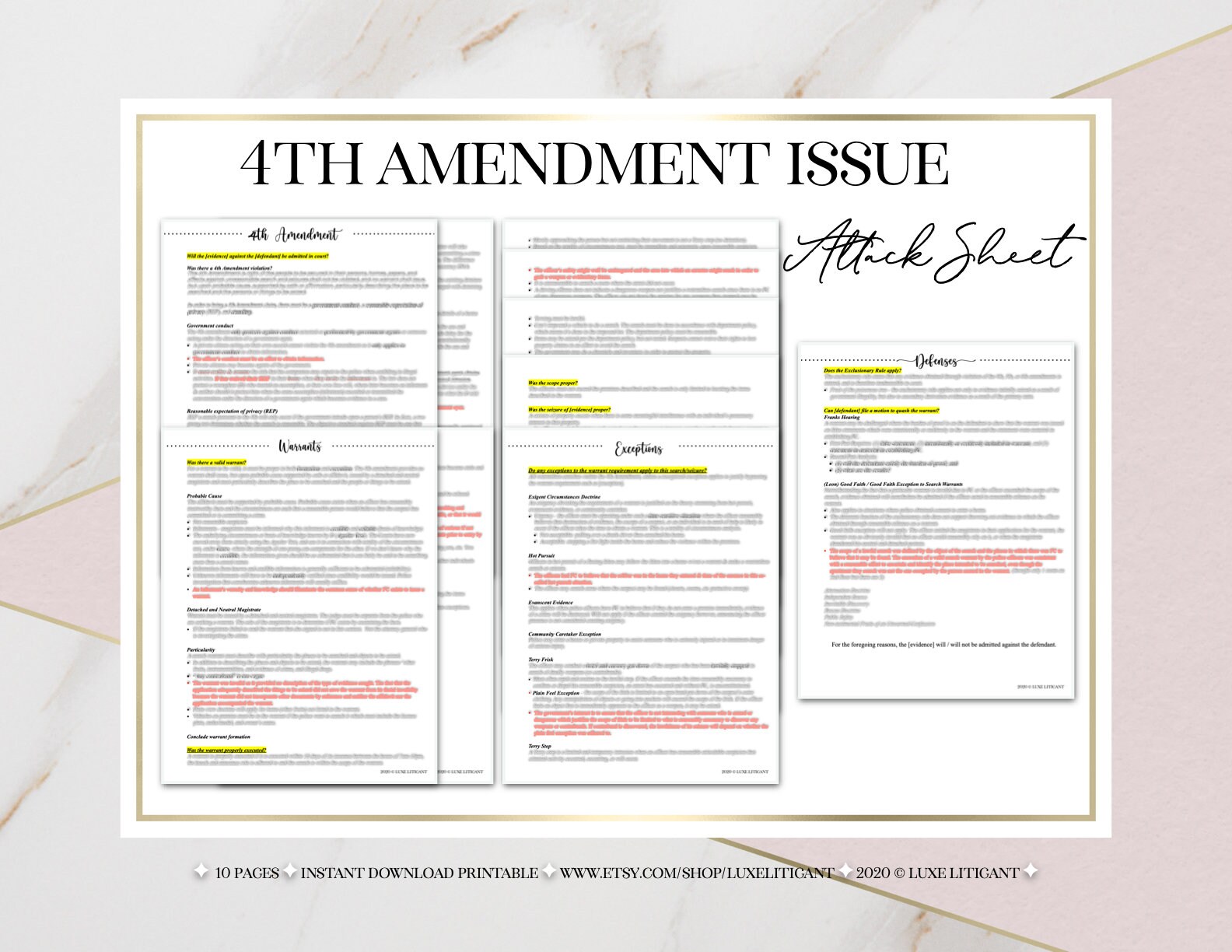 4th Amendment Examples