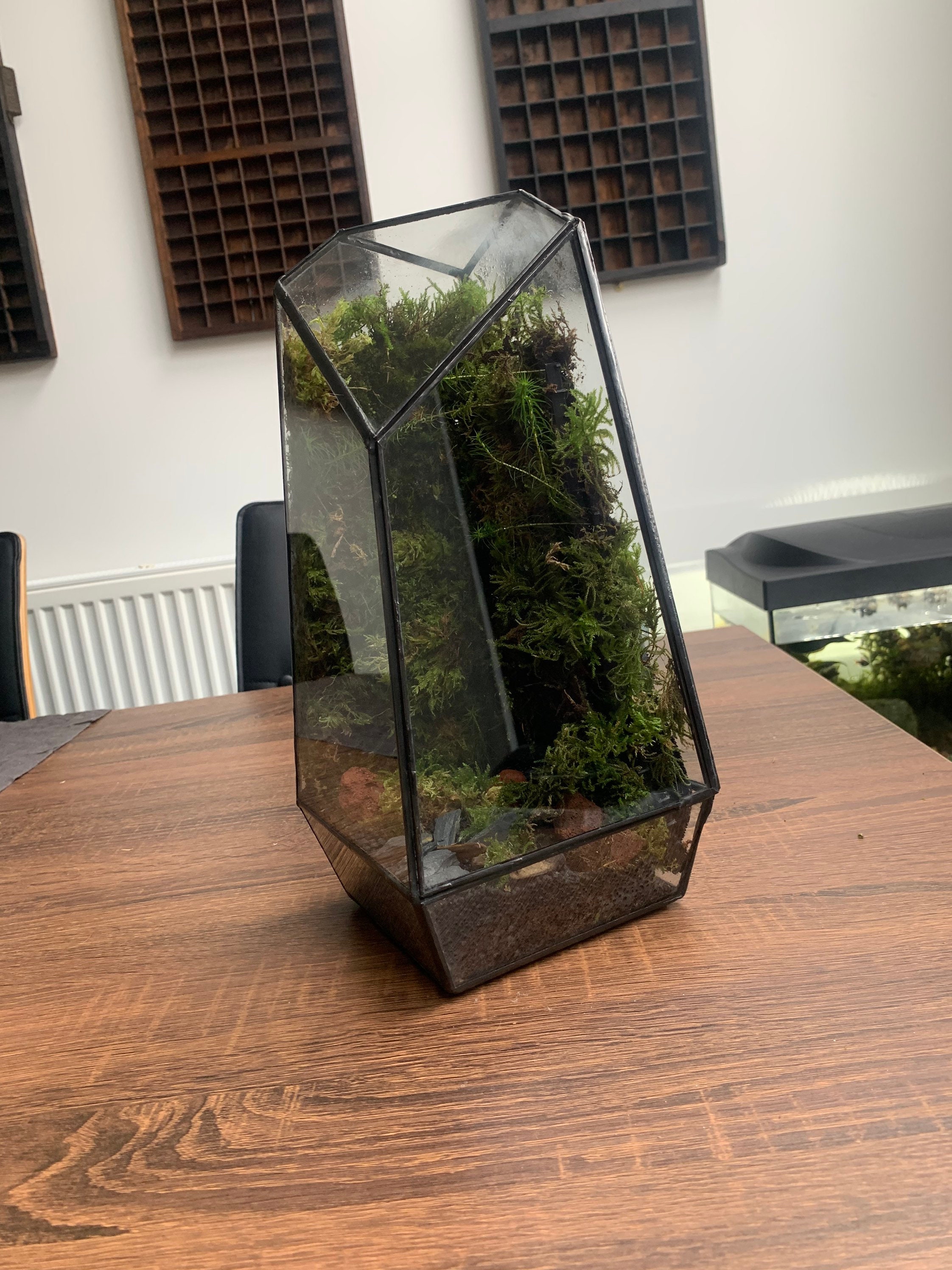 Large Stained Glass Terrarium / Mossarium Greenhouse Planter | Etsy