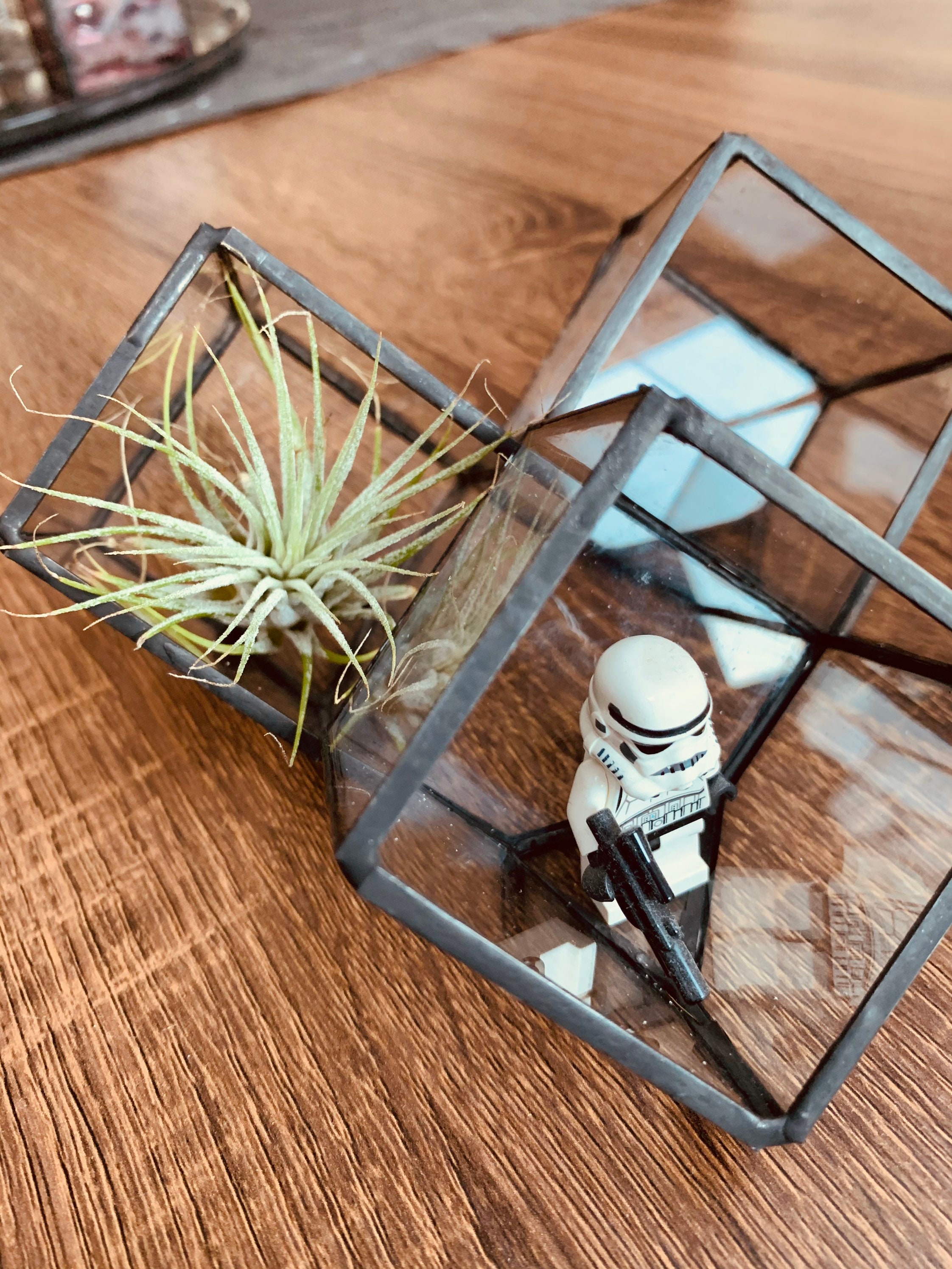 3x Mini Stained Glass Cube Terrarium Planters Open | Etsy UK