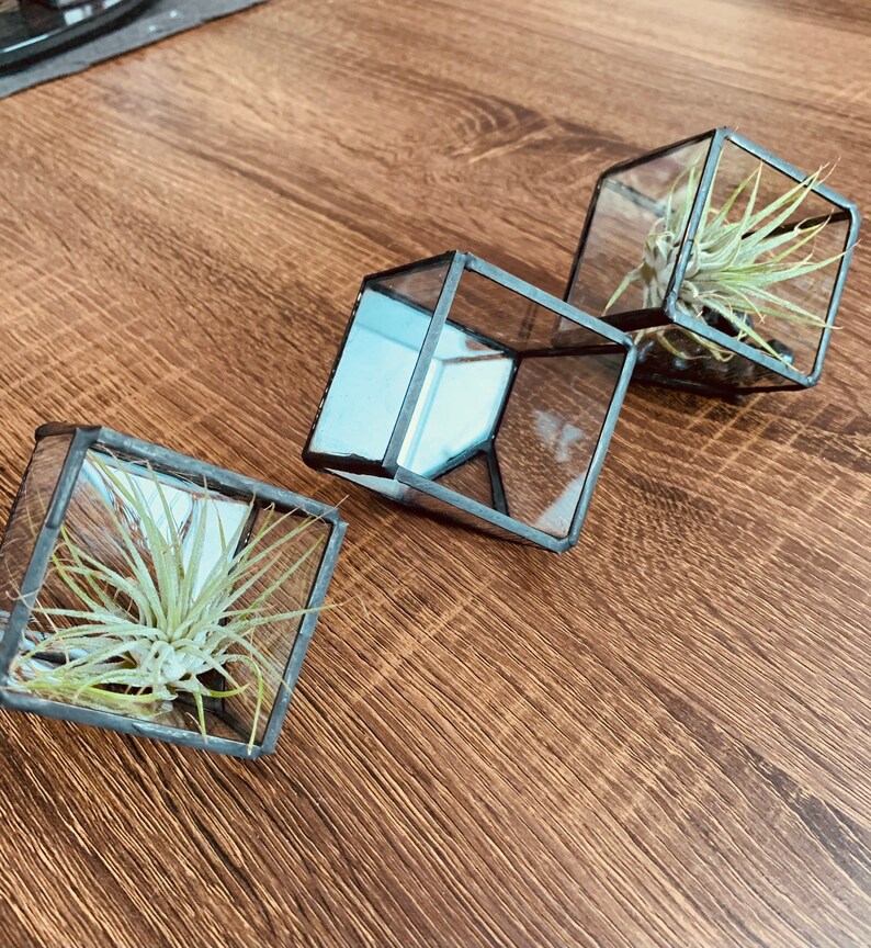 3x Mini Stained Glass Cube Terrarium Planters Open - Etsy