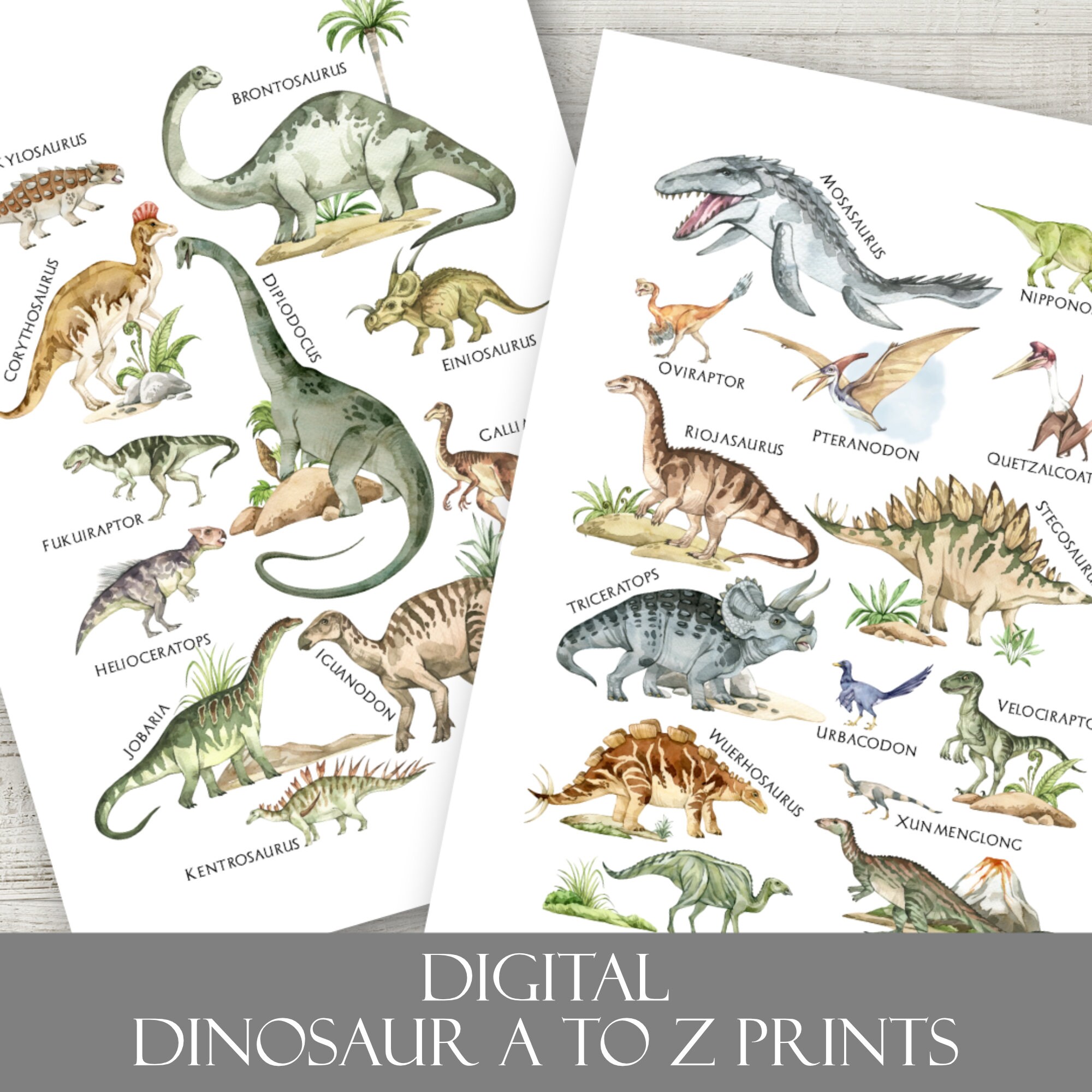 Dinosaurs A To Z Dvd