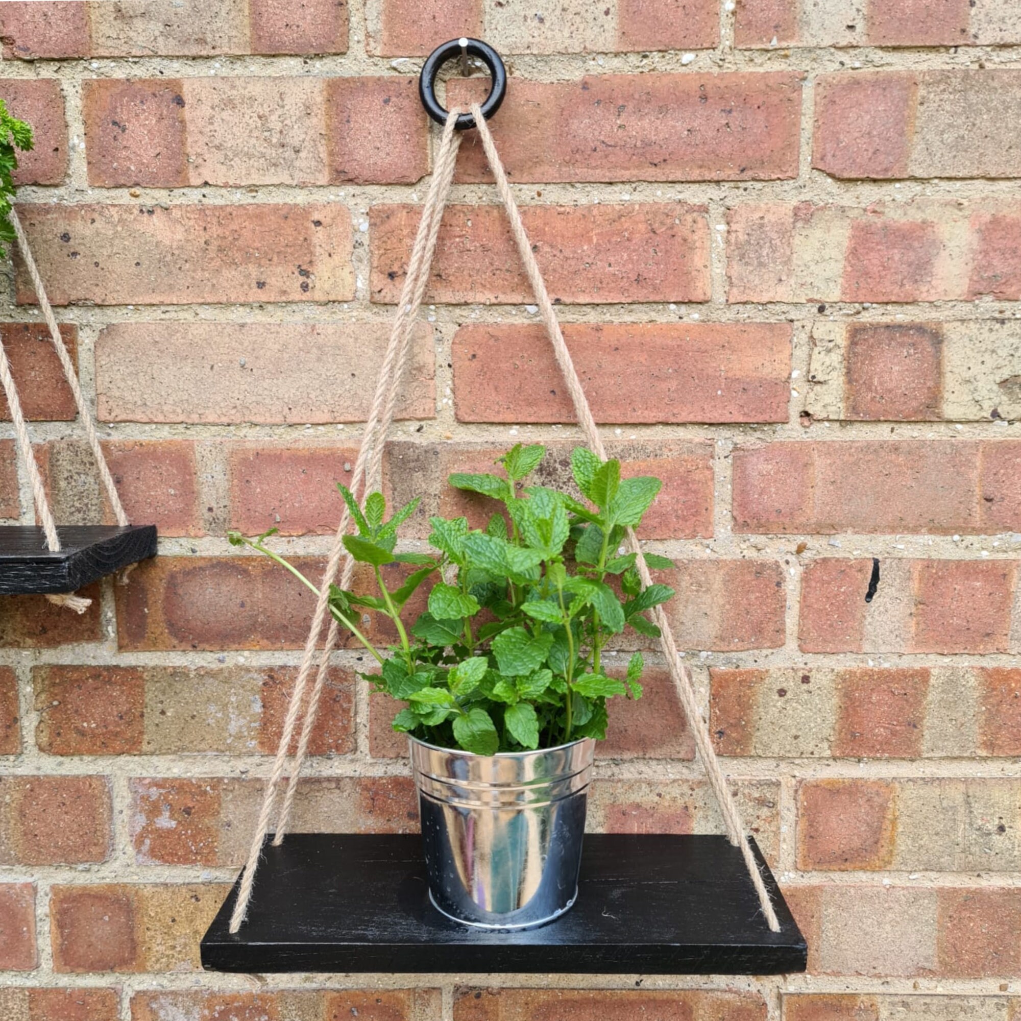 Black Wooden hanging rope shelves Perfect for displaying | Etsy