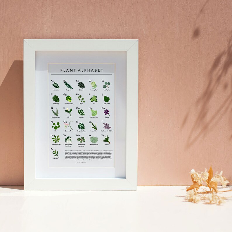 The Plant Alphabet Poster - Etsy