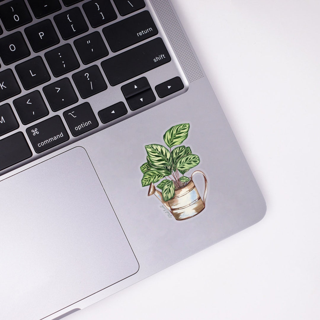 Calathea Plant Sticker | House Plants Sticker | Plant Lover Stickers ...