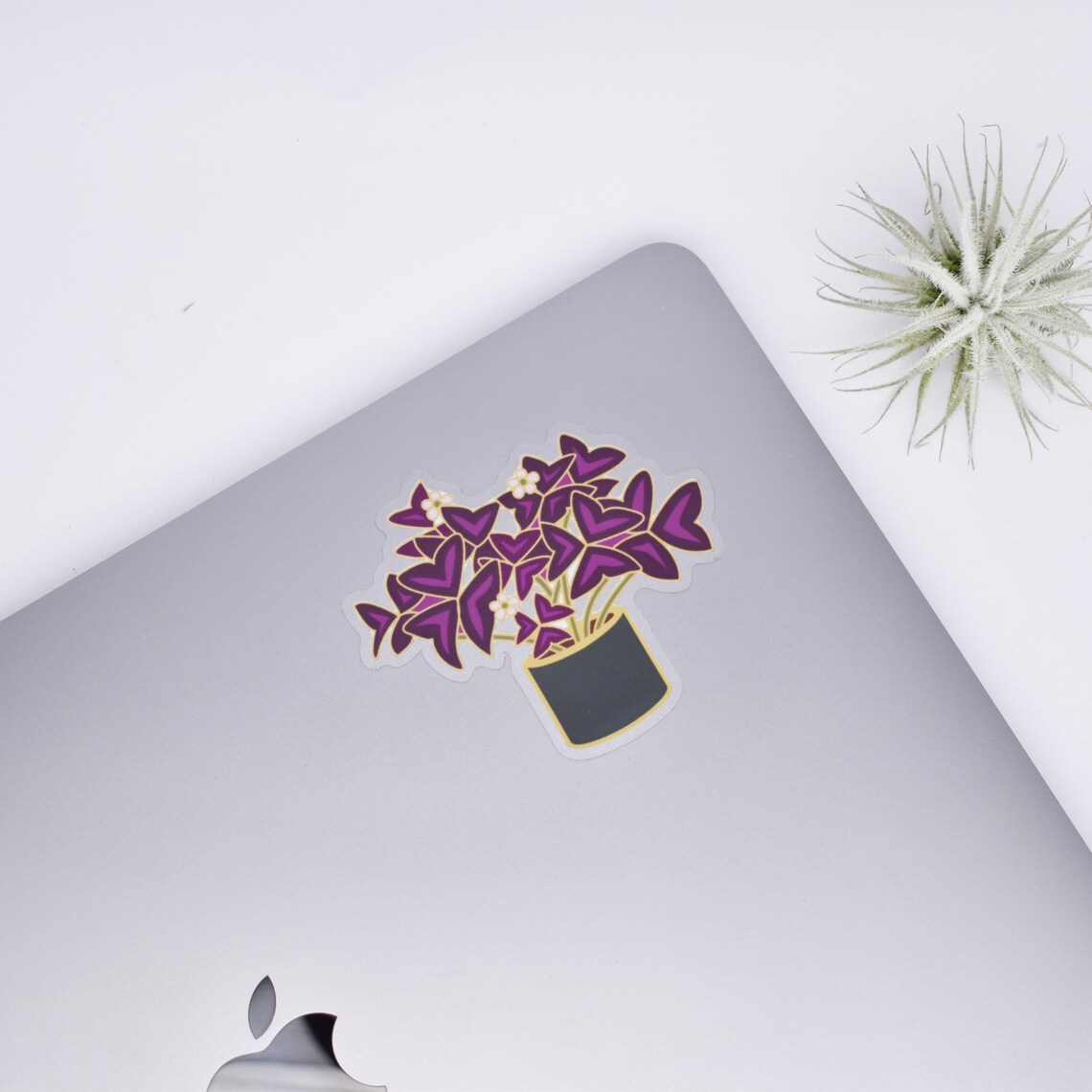 Oxalis Sticker - Etsy