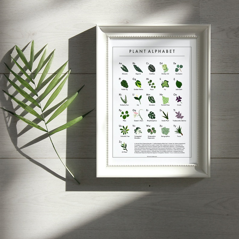 The Plant Alphabet Poster - Etsy