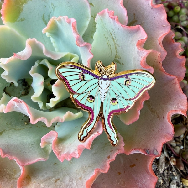 Moth Brooch Enameled - Etsy