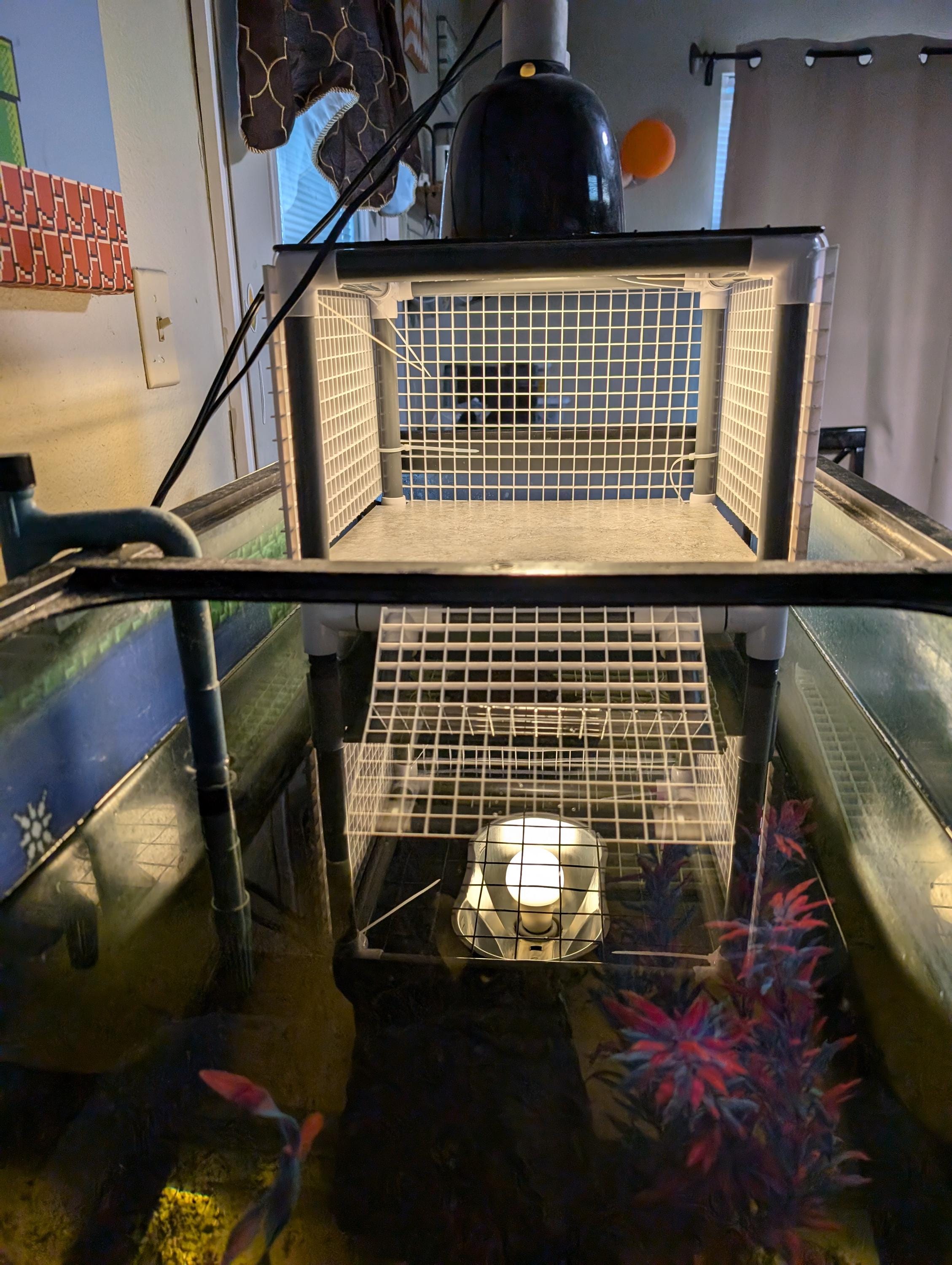 Standing Tank Topper Turtle Dock! Sits in of Your Aquarium and is ...