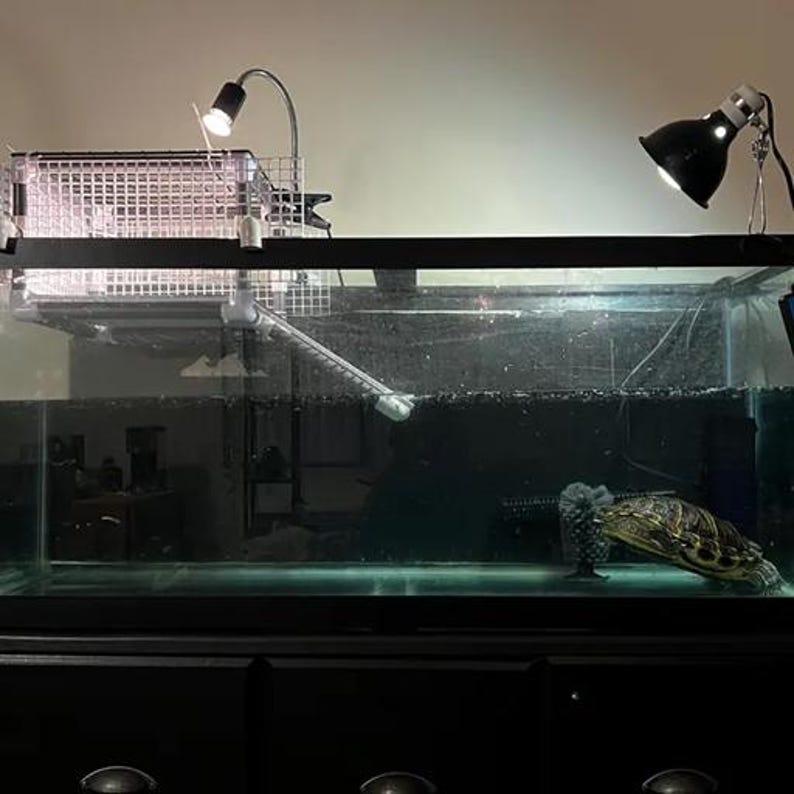 Hanging Tank Topper! Escape Proof, Sturdy, Metal Top. Fits Any Tank ...